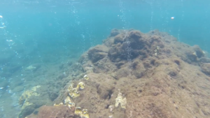 Snorkelling in Champagne Reef, Dominica - The Travel Hack