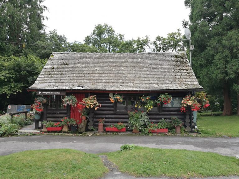 Camping in the Forest in Beddgelert, North Wales - The Travel Hack