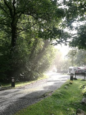 Camping in the Forest in Beddgelert, North Wales - The Travel Hack