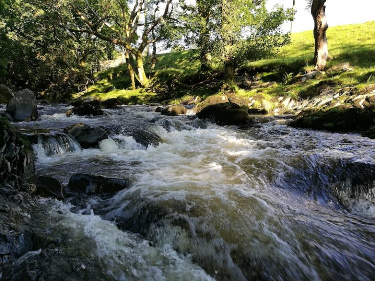 Camping in the Forest in Beddgelert, North Wales - The Travel Hack