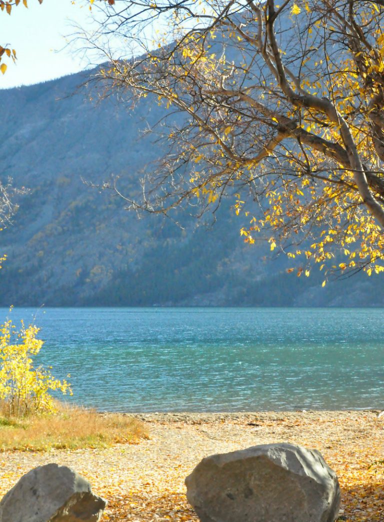 10 Reasons to Visit the Yukon Right Now - The Travel Hack