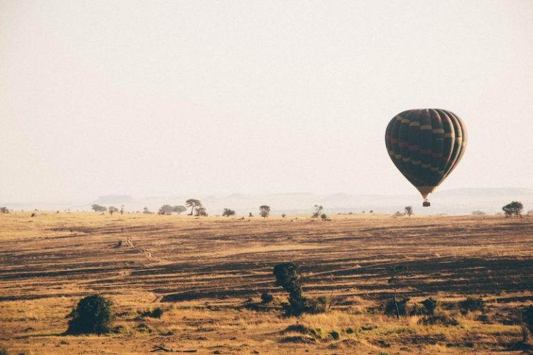 5 awesome safari experiences to get on your bucket list - The Travel Hack