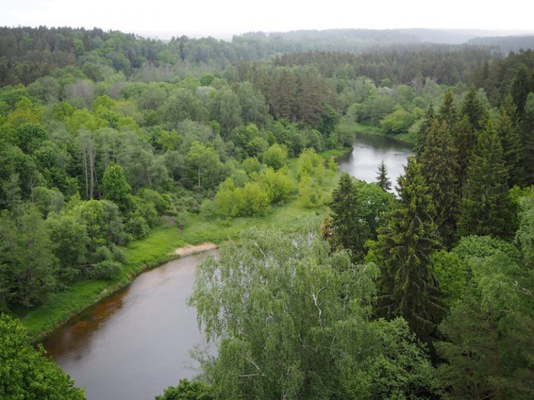 Lithuania: A Land of Surprises - The Travel Hack