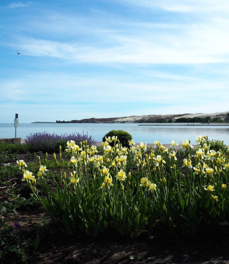 Lithuania: A Land of Surprises - The Travel Hack