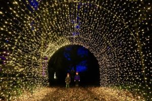 Magical Woodland Review: A magical outdoor experience in Cheshire - The ...