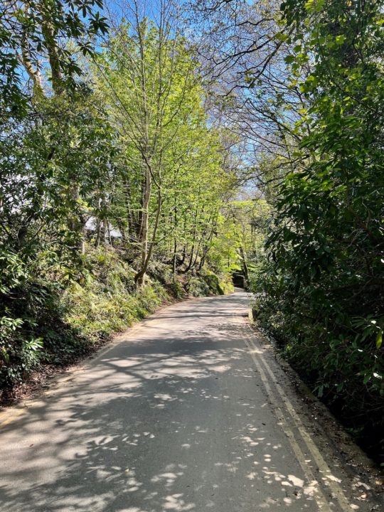 Llanbedrog Beach + hiking to the Tin Man!