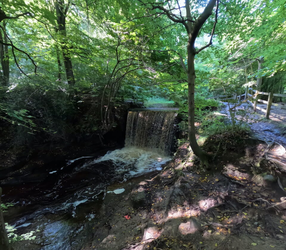 Plas Power and Nant Mill Woods and Bersham Waterfall, Wrexham