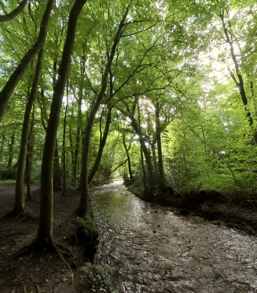 Plas Power and Nant Mill Woods and Bersham Waterfall, Wrexham
